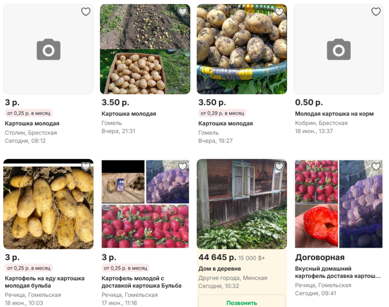 В Беларуси продают молодую картошку всего по 50 копеек за килограмм, но есть нюанс