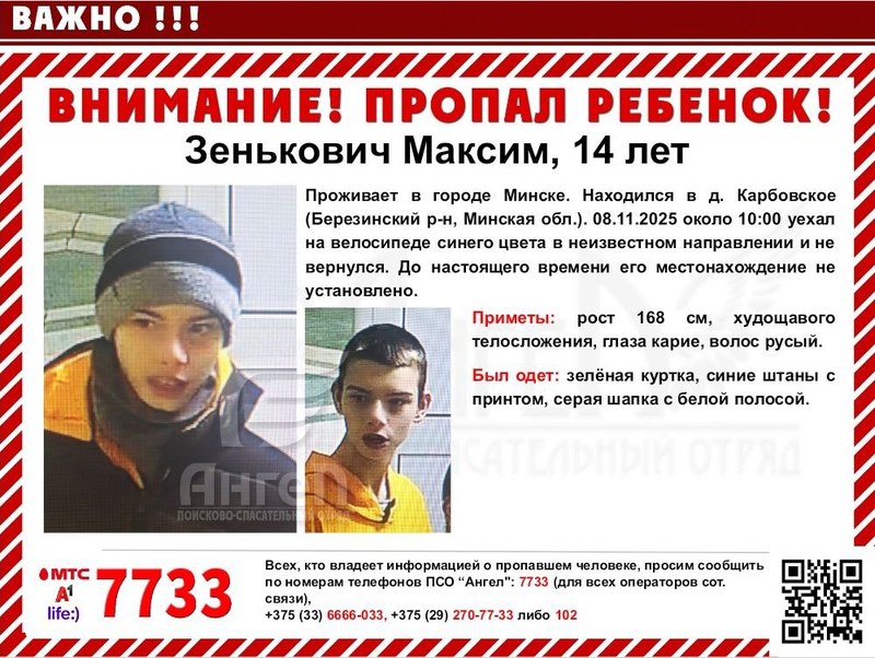 В Березинском районе потерялся мальчик. Его ищут почти 400 человек