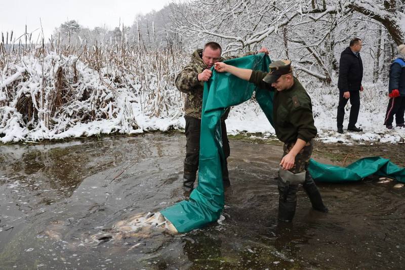 В Беларуси продолжается зарыбление водоемов. Где выпущено больше всего рыбы?