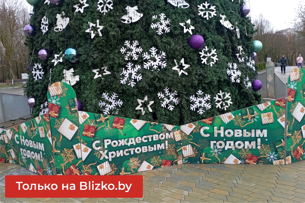 Как выглядит новогодняя елка, которую уже установили в минском парке ...