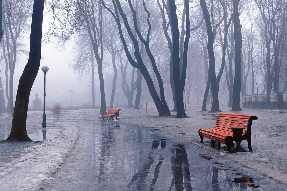 Небольшие дожди и до +5°С: синоптики рассказали о погоде в Беларуси в ...