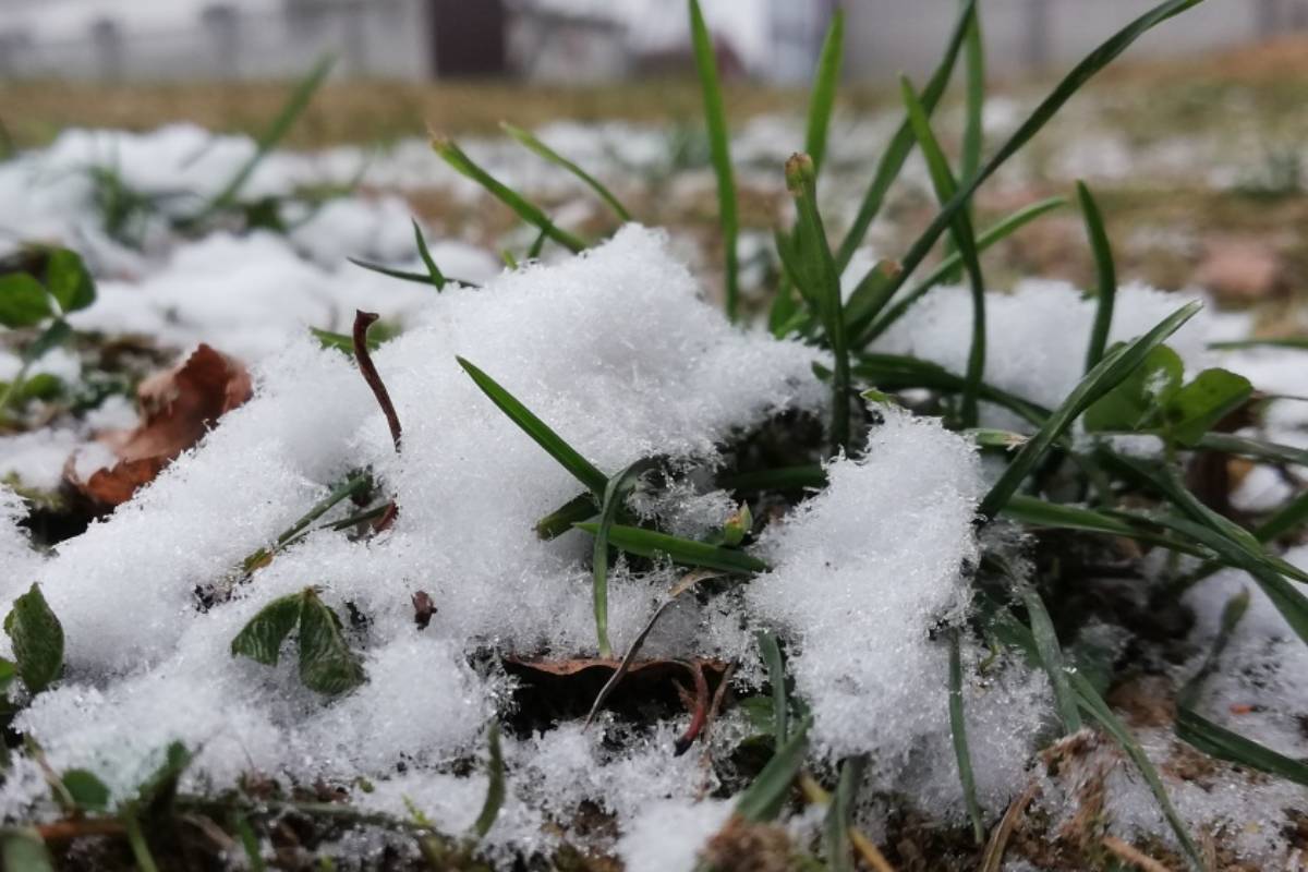 До -18°С ночью и до +7°С днем ожидается в Беларуси 25 февраля. Какая ...
